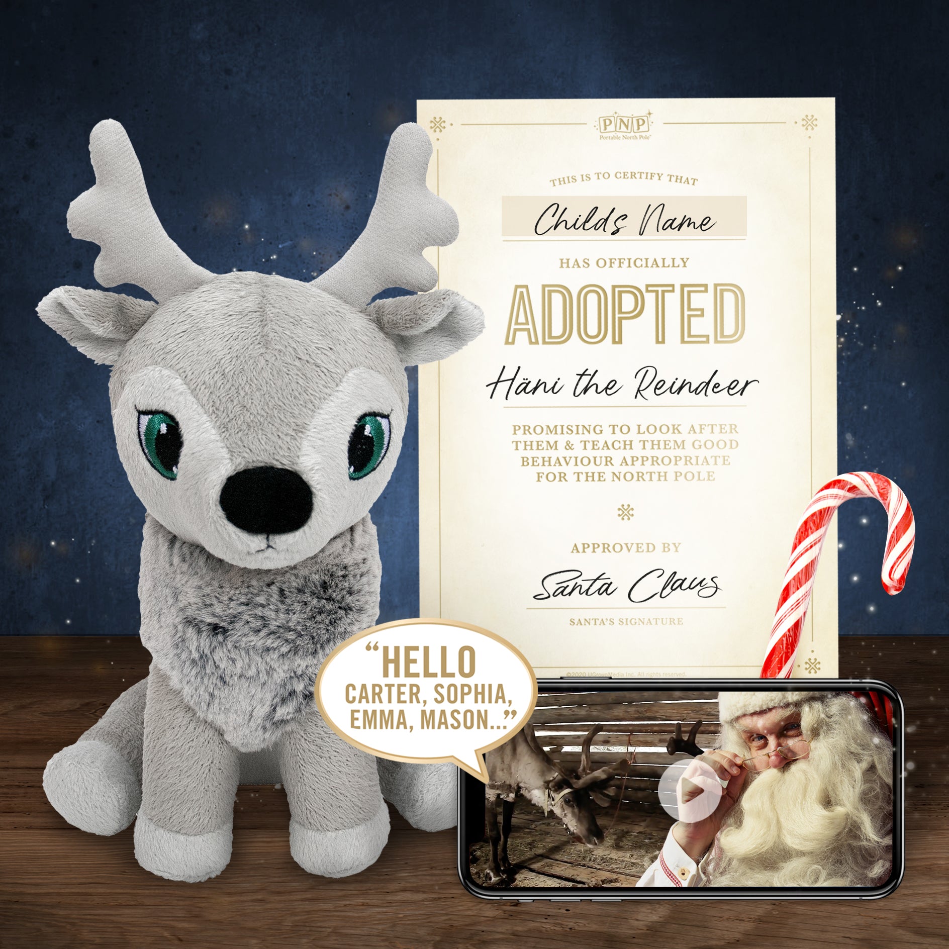 Little Reindeer Adoption Set – My Design Collections